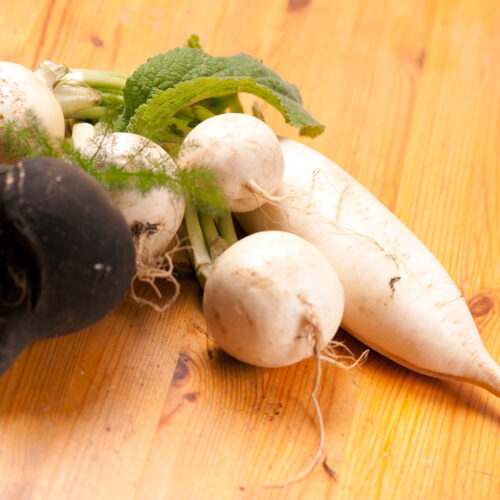 Schwarzer Rettich - Genussregion Oberfranken
