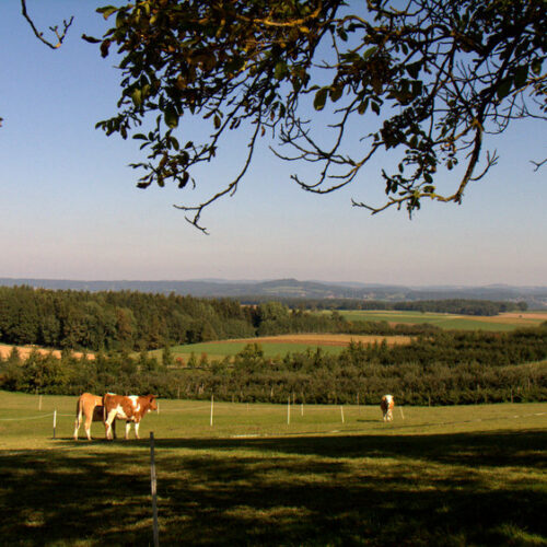 Kasendorf: Rund um den Görauer Anger - Genussregion Oberfranken